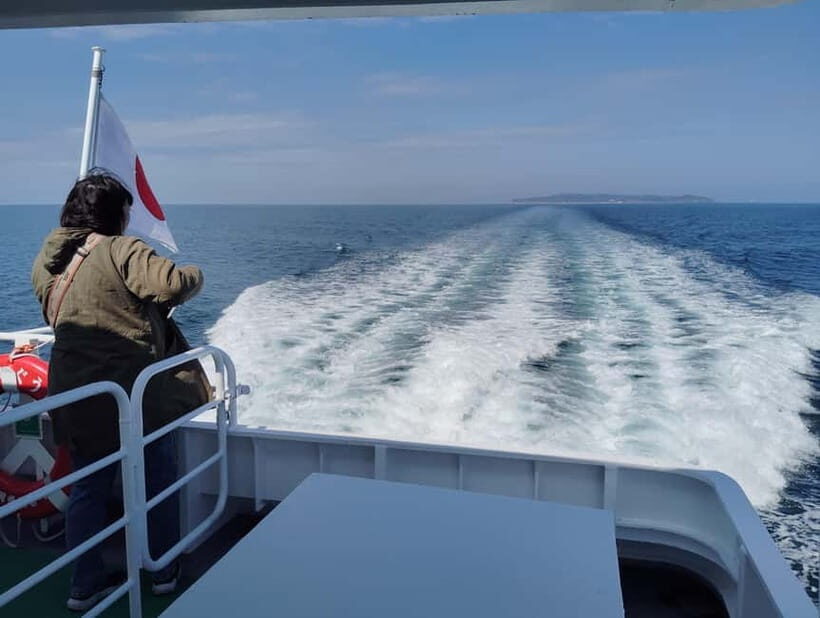 Fukuoka: Cat Island, Ainoshima Guided Tour with Ferry Ride - Who Will Love This Tour?