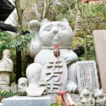 Fukuoka Cultural Walk: Castle, Shrines, Temples & Tales - The Sum Up