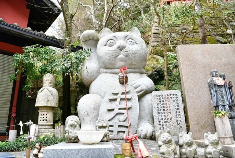 Fukuoka Cultural Walk: Castle, Shrines, Temples & Tales - The Sum Up