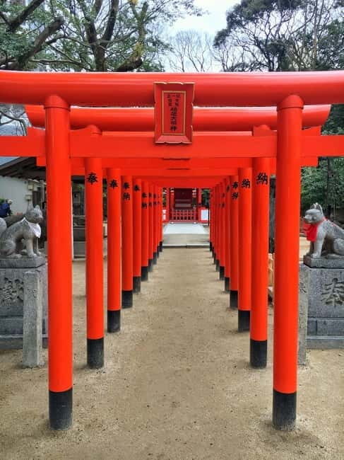 Fukuoka: Itoshima, Karatsu Castle & Shrines Private Tour - Analyzing the Value and Experience