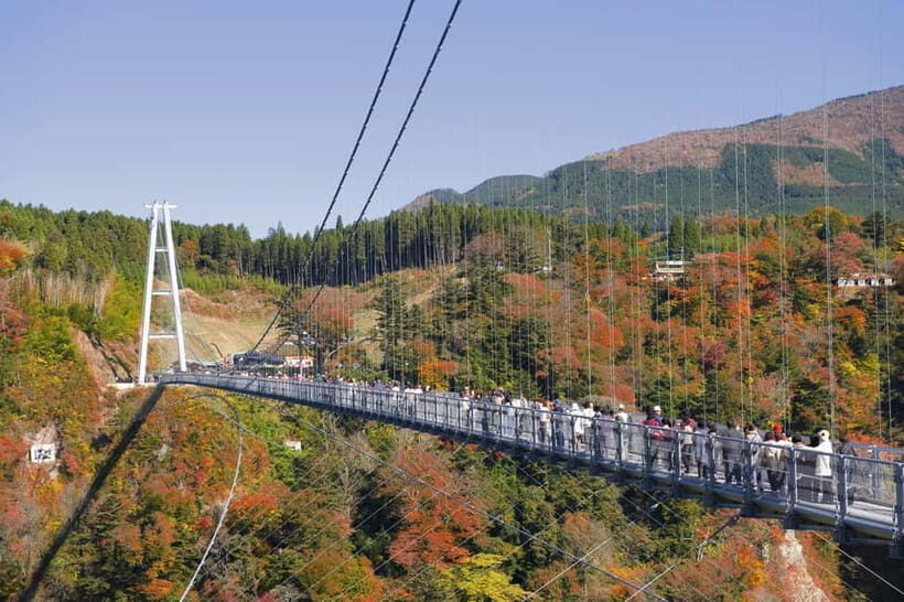Fukuoka: Kyushu Autumn Yabakei, Kokonoe Yume Brdg. & Dazaifu - The Practicalities: What to Expect