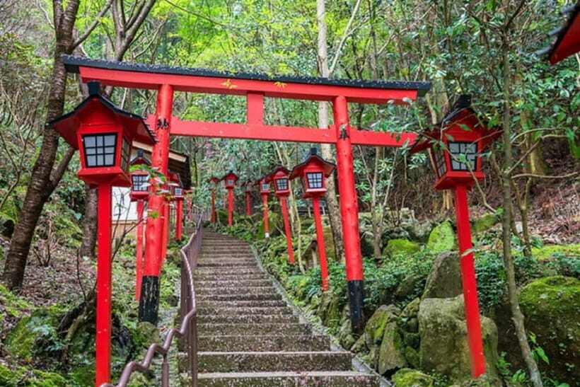 Fukuoka: Nanzoin Temple and Dazaifu Day Trip with Lunch - An In-Depth Look at the Tour Experience