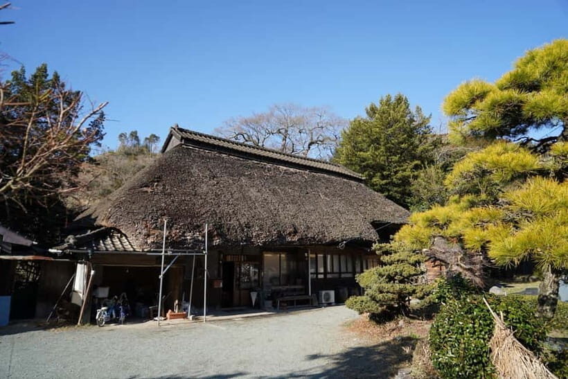 Fukuoka: Private Farm Experience with Lunch - Harvesting and Learning Traditional Farming Techniques