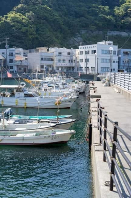 Fukuoka: Private Fishing Tour with Captain and Gear - Why This Tour Offers Real Value
