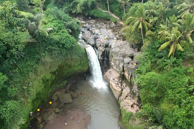 Full-Day Bali Car Charter to Visit The Best Places in Ubud - The Sum Up