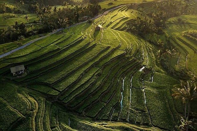 Full Day : Bedugul Temple - UNESCO Rice Terrace - Tanah Lot Temple - A Closer Look at the Itinerary