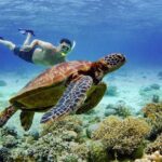Full Day Canyoning and Whaleshark Adventure from Cebu City or Mactan Area - Who Should Consider This Tour?