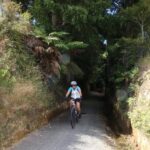 Full Day Ebike Tour - Karangahake Gorge NZ - An In-Depth Look at the Tour Experience