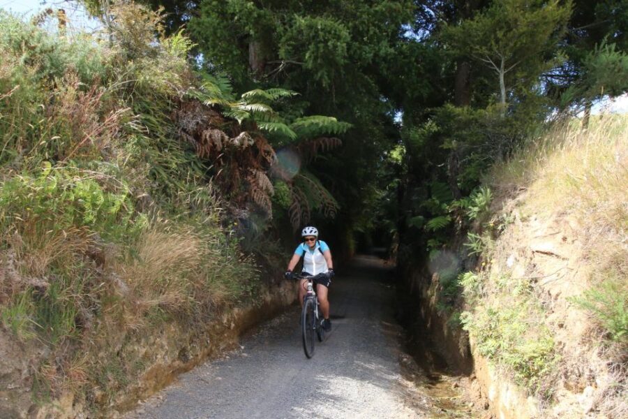 Full Day Ebike Tour - Karangahake Gorge NZ - An In-Depth Look at the Tour Experience