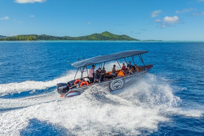 Full Day Eco Snorkeling & Traditional BBQ Lunch on a Motu - The Experience’s Strengths and Considerations