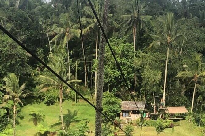 Full day Experience the beauty and flavors of Bali private tour - How Does It All Add Up?
