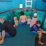 Full-Day Great Barrier Reef Pontoon with Snorkeling & Activities - Who Will Love This Tour?