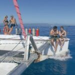 Full-Day Great Barrier Reef Sailing Trip from Cairns - What You Can Expect on the Day