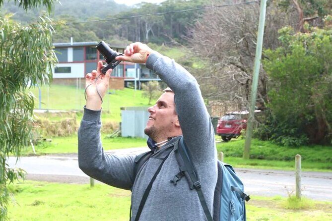 Full-Day Great Ocean Road and 12 Apostles Sunset Tour from Melbourne - Who Would Enjoy This Tour?