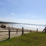 Full-Day Great Ocean Road and 12 Apostles Tour - Who Should Consider This Tour?