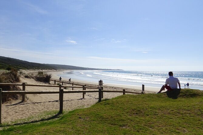 Full-Day Great Ocean Road and 12 Apostles Tour - Who Should Consider This Tour?