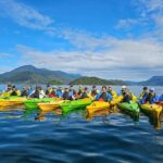 Full day Guided Sea Kayak Tour from Picton - Who Will Love This Tour?