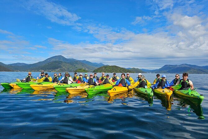 Full day Guided Sea Kayak Tour from Picton - Who Will Love This Tour?