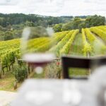 Full-Day Guided Tour on the Beautiful Mornington Peninsula. - Final Thoughts: Who Will Appreciate This Tour?