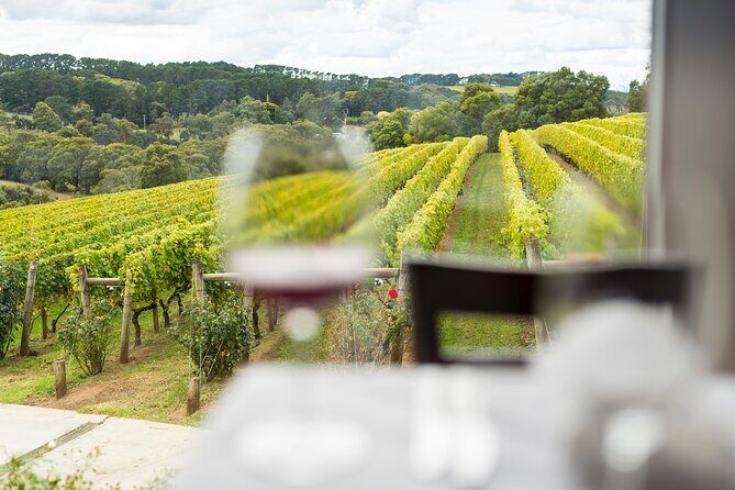 Full-Day Guided Tour on the Beautiful Mornington Peninsula. - Final Thoughts: Who Will Appreciate This Tour?