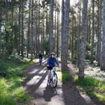 Full Day Guided Waikato River Trail E-bike Tour - Who Should Consider This Tour?