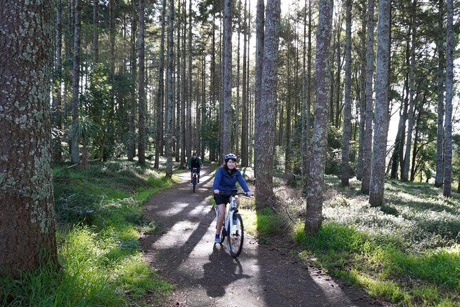 Full Day Guided Waikato River Trail E-bike Tour - Who Should Consider This Tour?