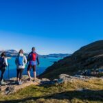 Full Day Guided Walking Tour and Picnic around Godley Head - Who Would Love This Tour?