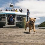 Full Day Iconic Mail Boat Cruise - Practical Tips for Your Trip