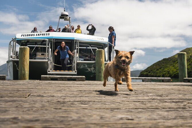 Full Day Iconic Mail Boat Cruise - Practical Tips for Your Trip