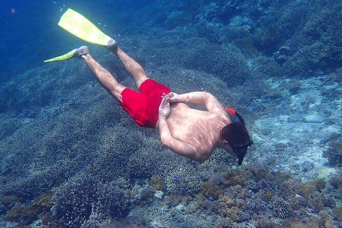 Full-Day Island-Hopping Tour from Bali - Practical Details for Travelers