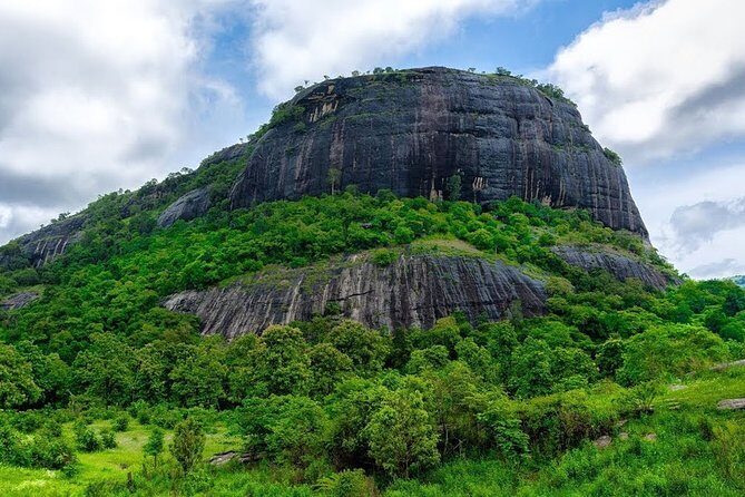 Full Day Kandy City Tour | From Colombo - Stop 3: Royal Botanical Gardens of Peradeniya
