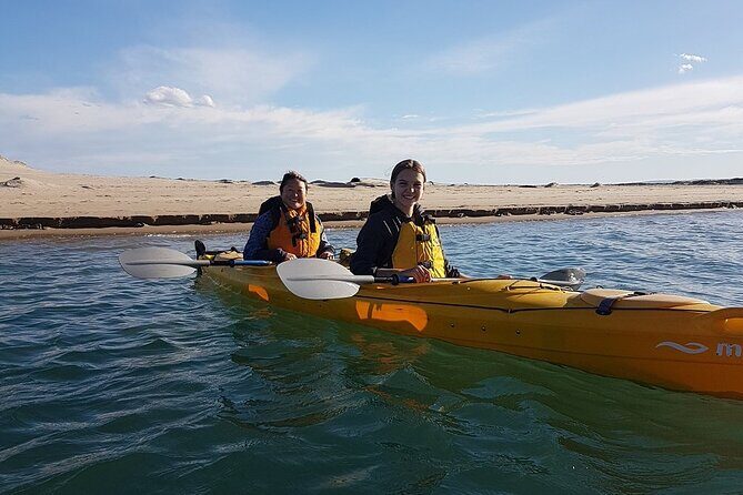 Full Day Kayaking Tour in Coorong National Park - Final Thoughts: Is It for You?