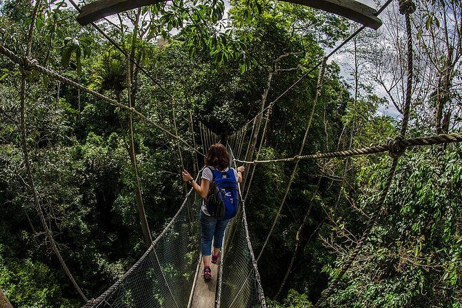 Full-Day Kinabalu Park and Poring Hot Spring Day Trip - The Itinerary in Detail