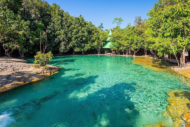 Full Day Krabi Jungle Tour With Elephant Trekking Transfers - The Elephant Trekking and Wildlife Experience