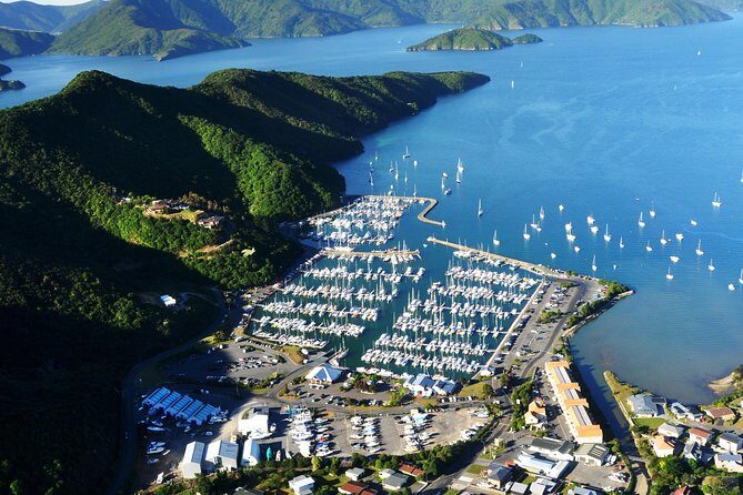 Full-Day Marlborough Scenic and Wine Tour from Blenheim - The Transportation and Group Size