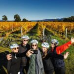 Full-Day Marlborough Wine Region Bike Hire - Why This Tour Works Well for Travelers