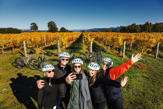 Full-Day Marlborough Wine Region Bike Hire - Why This Tour Works Well for Travelers