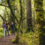 Full-Day Milford Sound Tour with Cruise and Walks from Te Anau - Summary