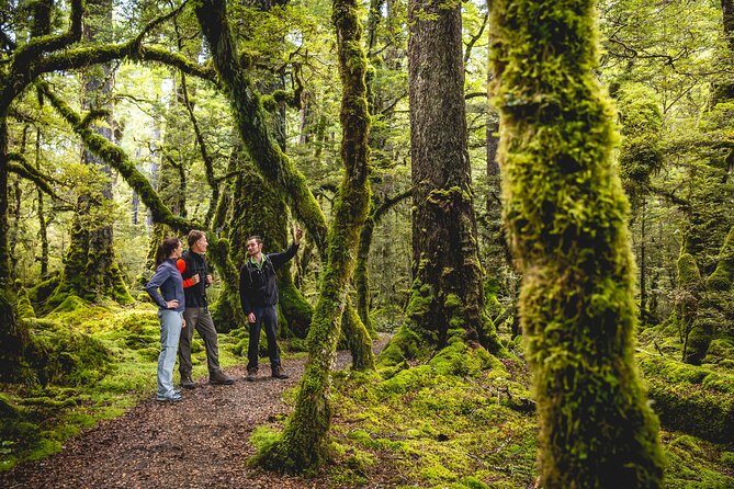 Full-Day Milford Sound Tour with Cruise and Walks from Te Anau - Summary