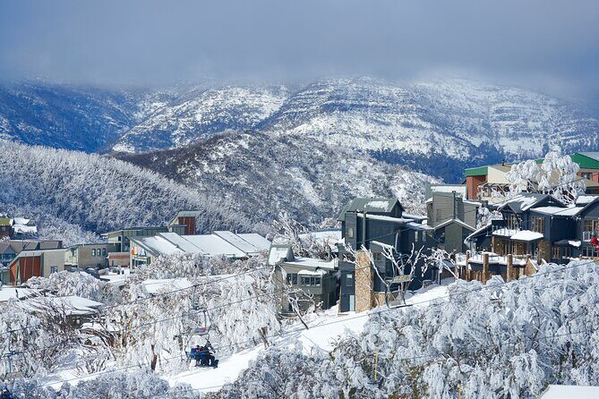 Full-Day Mount Buller Tour - Practical Considerations and Tips