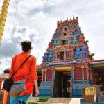 Full Day Nadi Discover Tour ( From Sigatoka Coral coast Hotels ) - Shopping and Markets: A Taste of Local Life