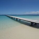 Full Day Nouméa Signal Island Turtle Tour - What to Expect on Signal Island