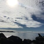 Full day Outdoor Rock Climbing Auckland at Ti Point - Why Choose This Climbing Tour?