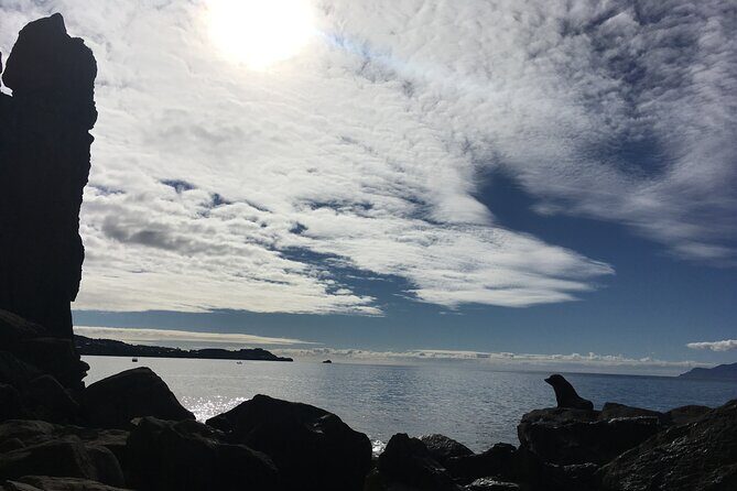 Full day Outdoor Rock Climbing Auckland at Ti Point - Why Choose This Climbing Tour?