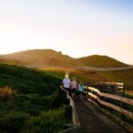 Full-Day Penguins and Wildlife Nature Experience from Melbourne - Transportation, Timing, and Group Size