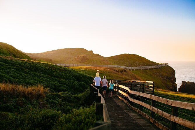 Full-Day Penguins and Wildlife Nature Experience from Melbourne - Transportation, Timing, and Group Size