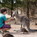 Full-Day Phillip Island Tour with Kangaroo, Koala and Penguin Parade - Authentic Experiences and Highlights