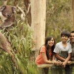 Full-Day Private Australian Wildlife Tour of Phillip Island - FAQ: Your Practical Questions Answered