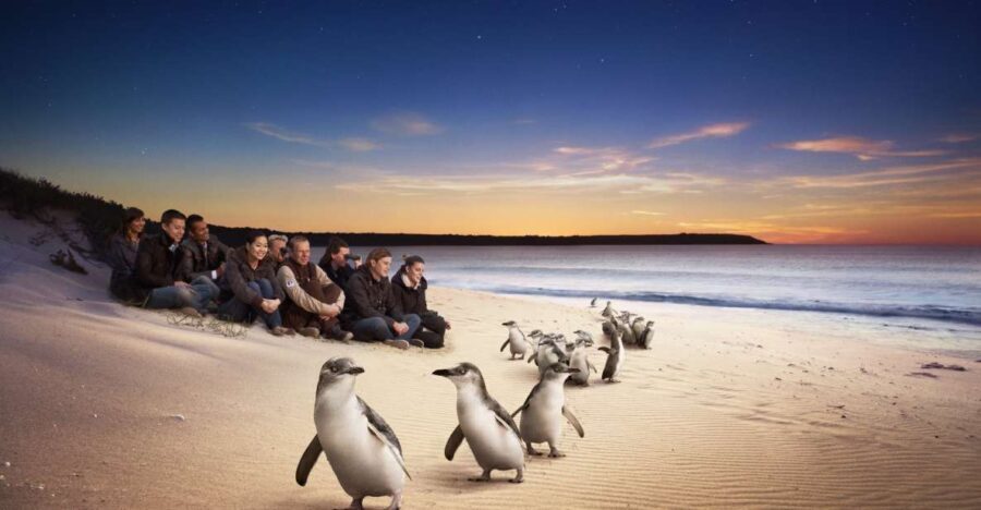 Full-Day Private Australian Wildlife Tour of Phillip Island - Who Will Love This Tour?