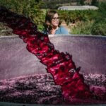 Full Day Private Barossa Valley Wine Tour - An In-Depth Look at the Tour Experience